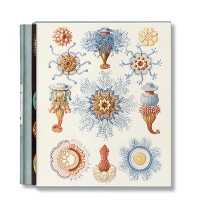 【预订】TASCHEN 恩斯特·海克尔的艺术与科学 The Art and Science of Ernst Haeckel 原版英文艺术画册画集 布面经典进口图书