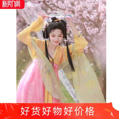 汉服披帛唐制齐胸襦裙仙气