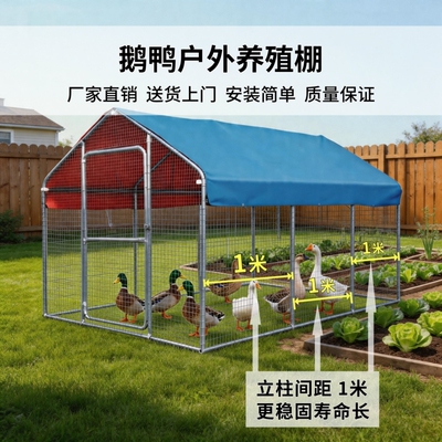 鸡笼户外养殖养鸡组装鸽笼