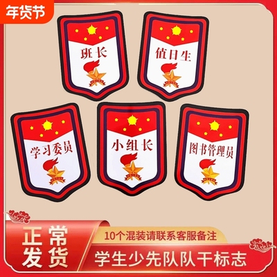 小学生臂章少先队标志