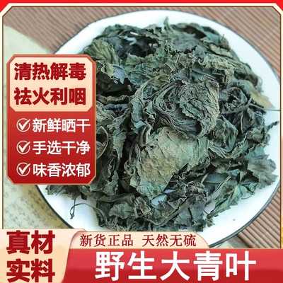 野生大青叶新鲜中药材无硫板蓝根叶蓼大青叶蓼蓝叶干货黄芩食用