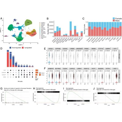 生信做图 转录组学,蛋白质组学,代谢组学测序数据分析,RNA-seq