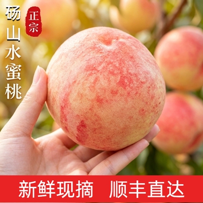 砀山水蜜桃大果新鲜水果现摘脆甜多汁时令孕妇桃子蒙阴当季整箱