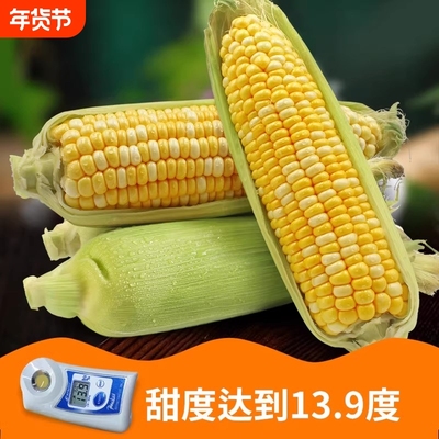 广西现摘大甜玉米9斤粘糯水果玉米甜苞谷云南5当季水果玉米甜玉米