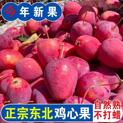 正宗东北鸡心果沙果甜脆好吃