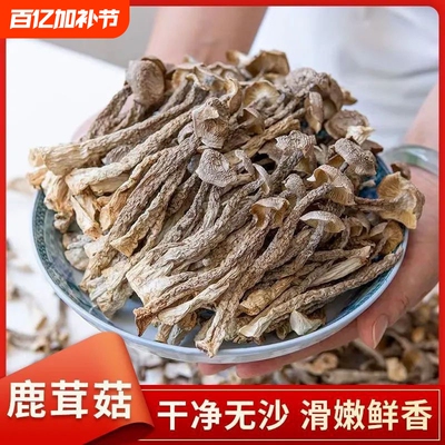 鹿茸菇500g煲汤炖汤食材养生菌菇精选精品袋装花菇年货美味新鲜