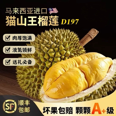 正宗进口猫山王榴莲D197马来西亚