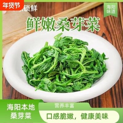 桑叶芽新鲜冷冻桑芽菜山东海阳凉拌嫩桑叶·尖包子饺子馅火锅配菜
