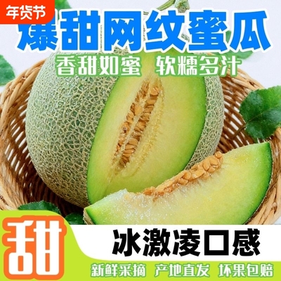 海南玫珑网纹蜜瓜新鲜装