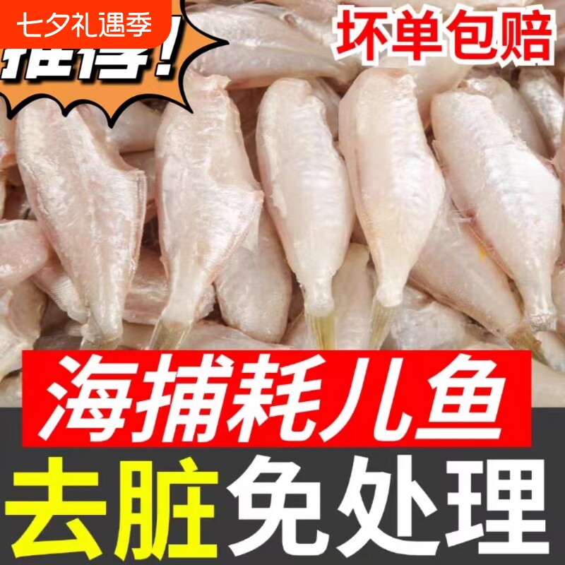 耗儿鱼新鲜马面鱼扒皮老鼠鱼新鲜冷冻冰鲜剥皮鱼火锅整商用