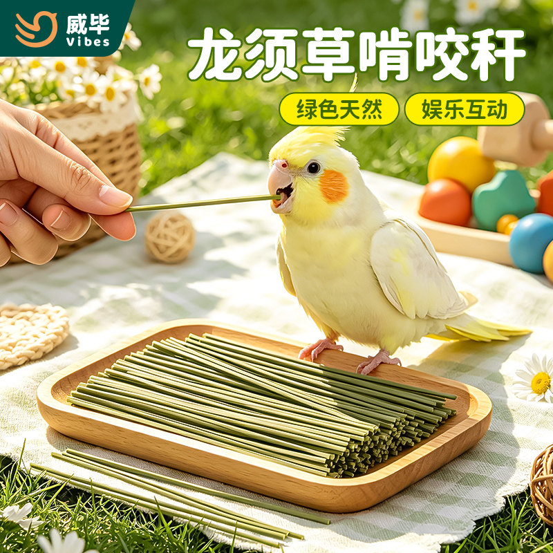 虎皮鹦鹉玩具龙须草啃咬实心杆专用磨牙棒玄凤牡丹解闷自嗨龙须草