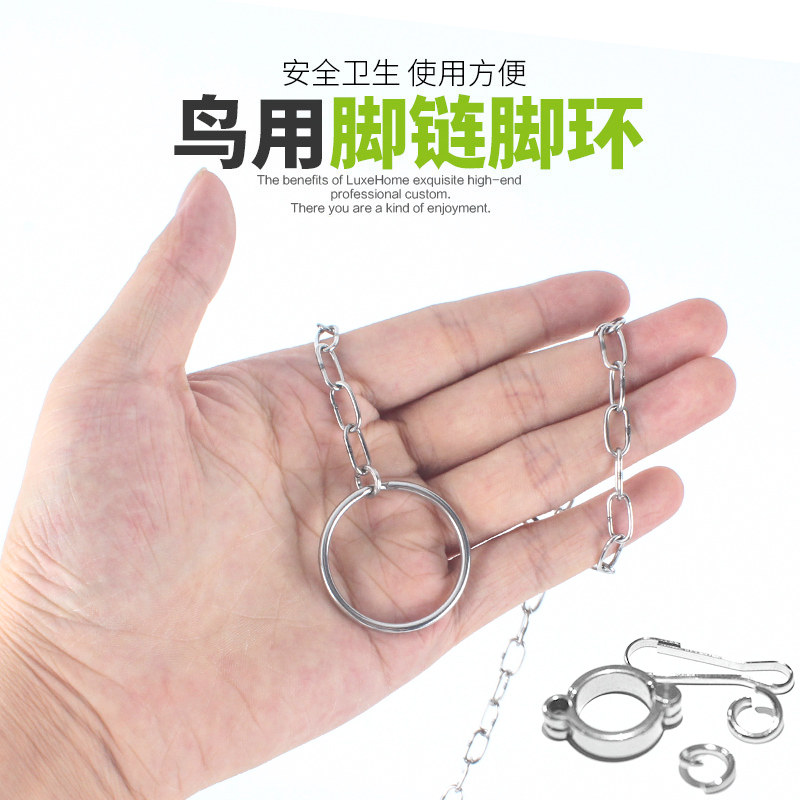 不锈钢鹦鹉脚链脚环鸟链子链脚链开口环八哥脚链扣拴鸟用品不伤脚