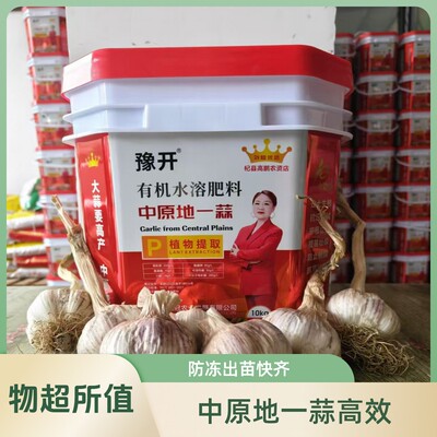 中原地一蒜，覆膜水每桶冲两亩地，出苗快出苗齐，防冻，越冬防护