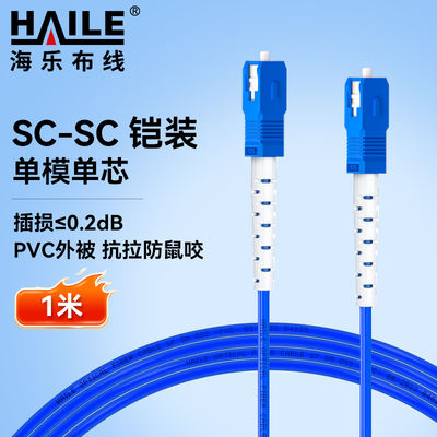 HAILE海乐 铠装防鼠咬光纤跳线抗拉抗压 电信级单模单芯尾纤SC-SC跳纤 9/125   HJ-1SC-SC-SK