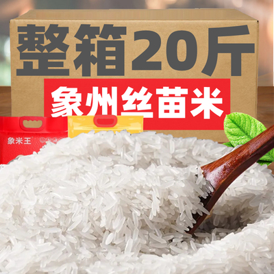 新米猫牙米晚稻超丝苗长粒香