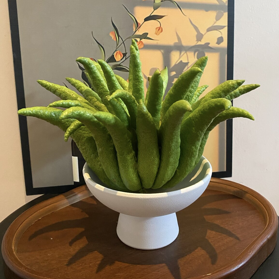 新鲜佛手柑水培水养天然香氛观赏清供摆件鲜果绿植盆栽佛手大果