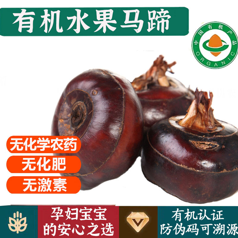 有机荔浦马蹄荸荠 广西桂林特产脆甜多汁孕妇儿童健康蔬菜