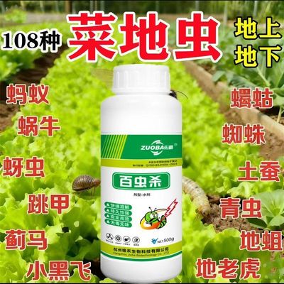  百虫杀速效溶解剂喷后快速见效阻止蚜虫蓟马啃食作物叶片