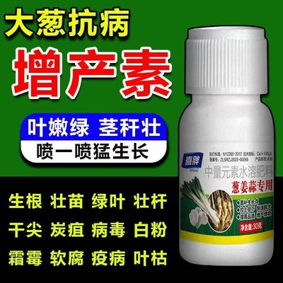 大蒜叶面肥防黄叶干尖抗冻抗病喷完种出大蒜个头大品质高就见效
