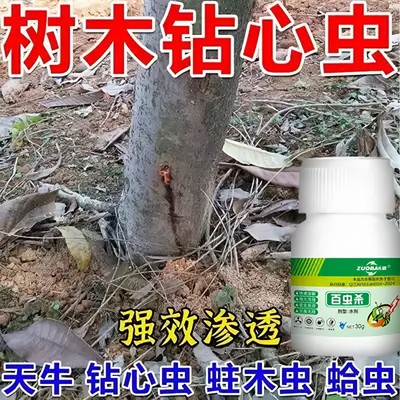 植物害虫防护助剂预防灭杀双效蚜虫红蜘蛛介壳虫不暴发