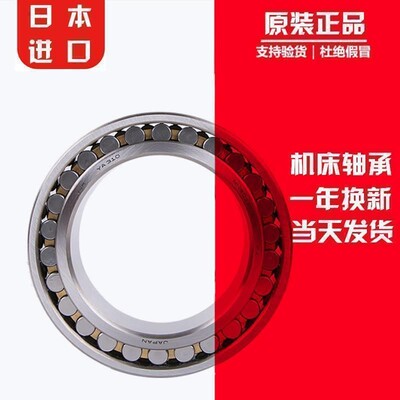 进口NSK轴承 NN3017 3018 3019 3020 3021 3022 K CC1/P4/P5 机床