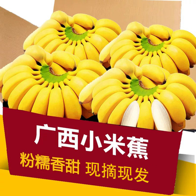 小米蕉5斤，软糯香甜！