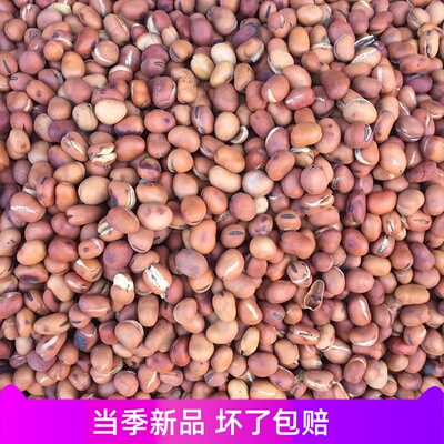 48小时发货手工炒小酥蚕豆250克