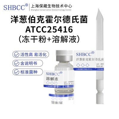 洋葱伯克霍尔德氏菌ATCC25416