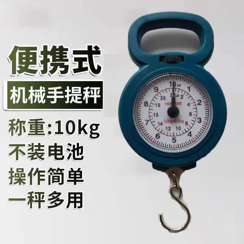 弹簧秤家用便携式多功能手提秤买菜秤口袋秤迷你快递秤