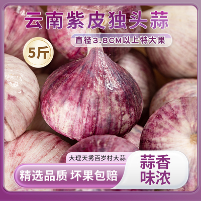 云南紫皮独头蒜干大蒜