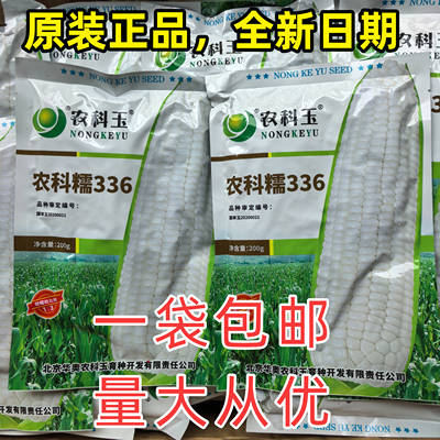 336糯玉米种子农科玉甜糯大棒