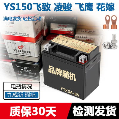 飞致凌骏飞鹰花嫁摩托车干电瓶