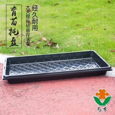 长花方形菜盆托塑料塑料盆托盘盘长条盘盆托M54616盘大托接水盘