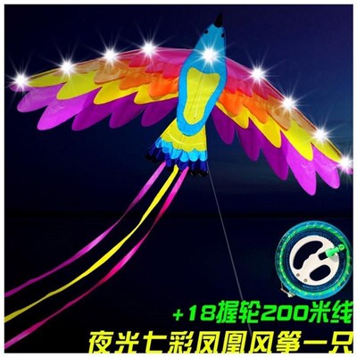 夜光风风11647筝高端0风筝2x2筝2新款ed带灯光坊l潍夜光大型风筝
