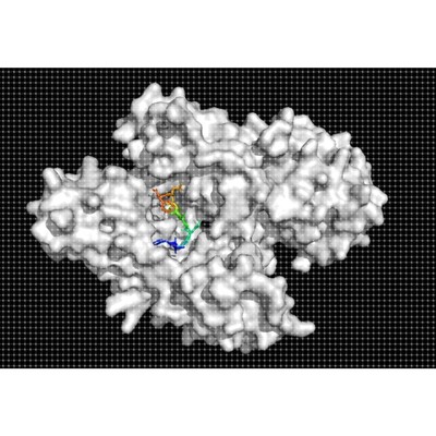 gromacs分子动力学,分子动力学模拟,蛋白分子对接,氨基酸突变