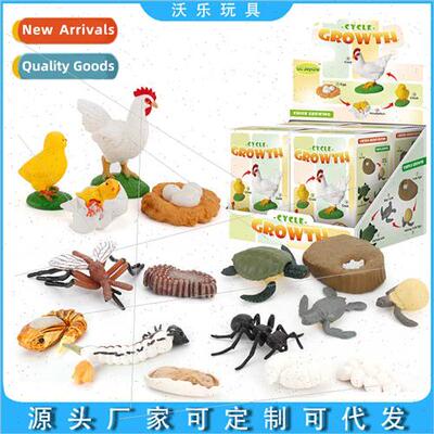 Growth Cycle Toys Blind Box mulation Solid Frogs Animals Tur
