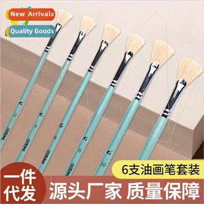 Pig bristle fan brush set art supplies适用beginners painting