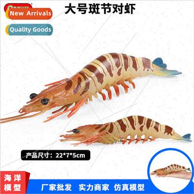 Children early education cognive spot knob shrimp marine fre