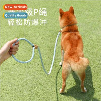 Pet Dog Dog Leash Medium Large Dog Safety Buckle Dog Leash C