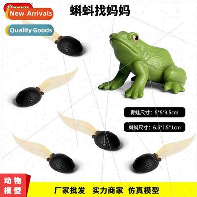 Cognitive teaching aids tadpole looking适用mother children s