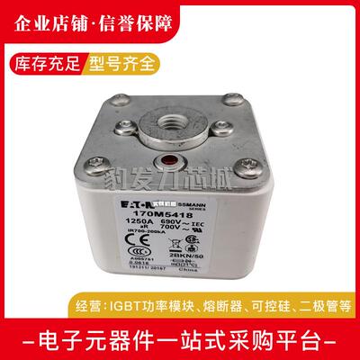 170M5593 170M5594 170M5595 170M5596 170M5597 170M5598熔断器
