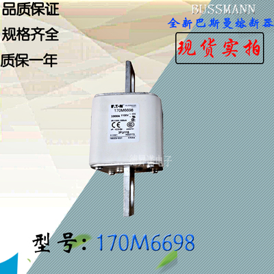 170M6690全新热卖供应巴斯曼熔断器170M6691电子保险丝170M6692