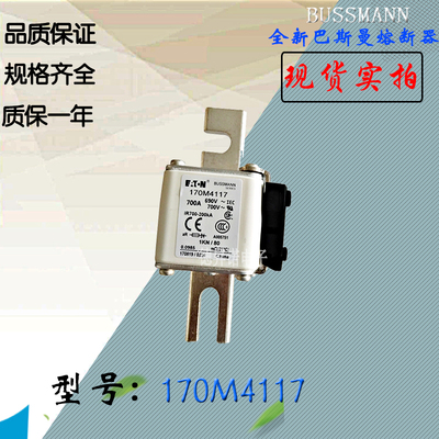 170M4117全新热卖供应巴斯曼熔断器170M4118库存现货直销170M4119