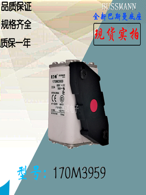 BUSSMANN170M3954保险丝熔断器