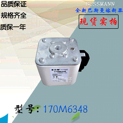 170M6344质保一年170M6345电子全新热卖供应巴斯曼熔断器现货直销