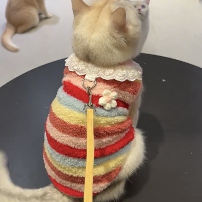 猫咪秋冬天衣服放掉毛加绒保暖可爱宠物狗狗金渐层布偶猫蓝猫冬装