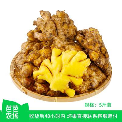 【芭芭农场】云南小黄姜5斤