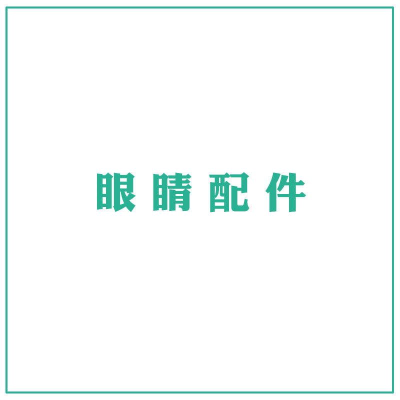 菲菲姐家 眼睛 纽扣 鼻子配件单拍