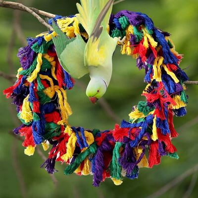 Parrot Hanging Swing Toy Chewing Climbing Cotton Rope Loop B