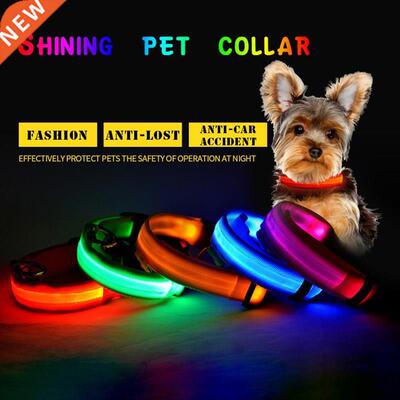 Shining Pet Dog Collar LED Light Pet Collar Traction Flashin